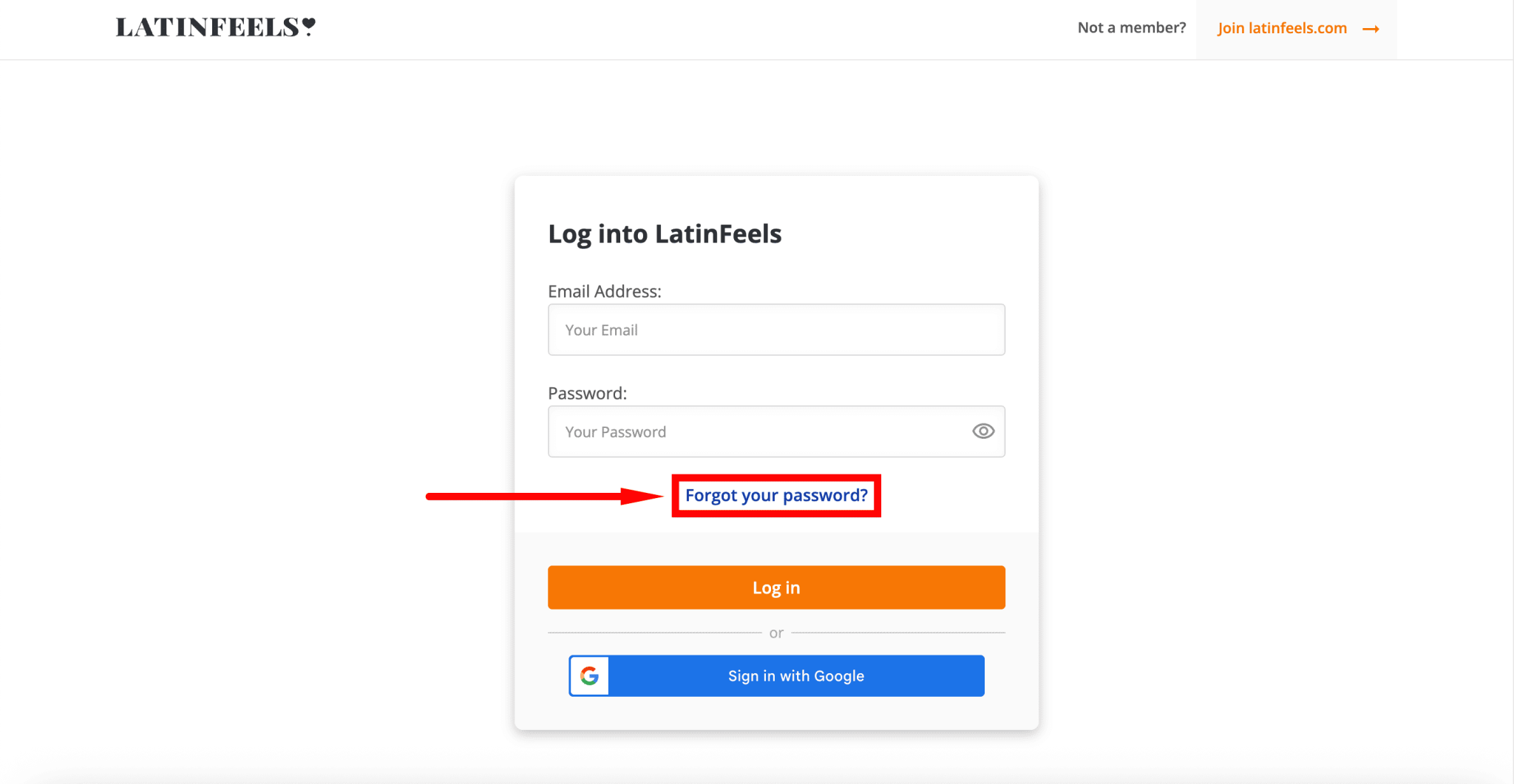 LatinFeels Login, Sign Up & Profile Management Guide
